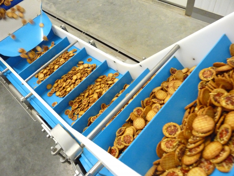 Convoyage Process alimentaire | Immequip